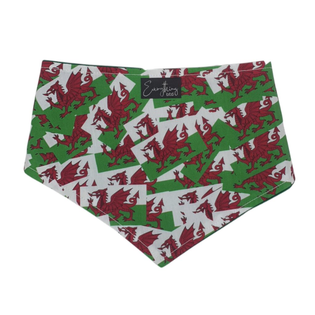 Wales Flag Bandana - Everything But The Dog