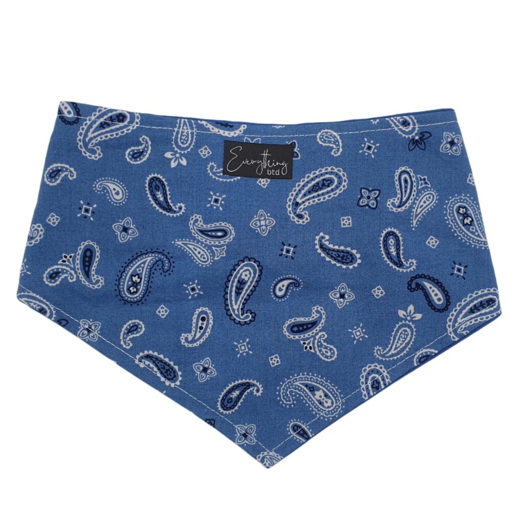 Paisley Twist Bandana - Everything But The Dog